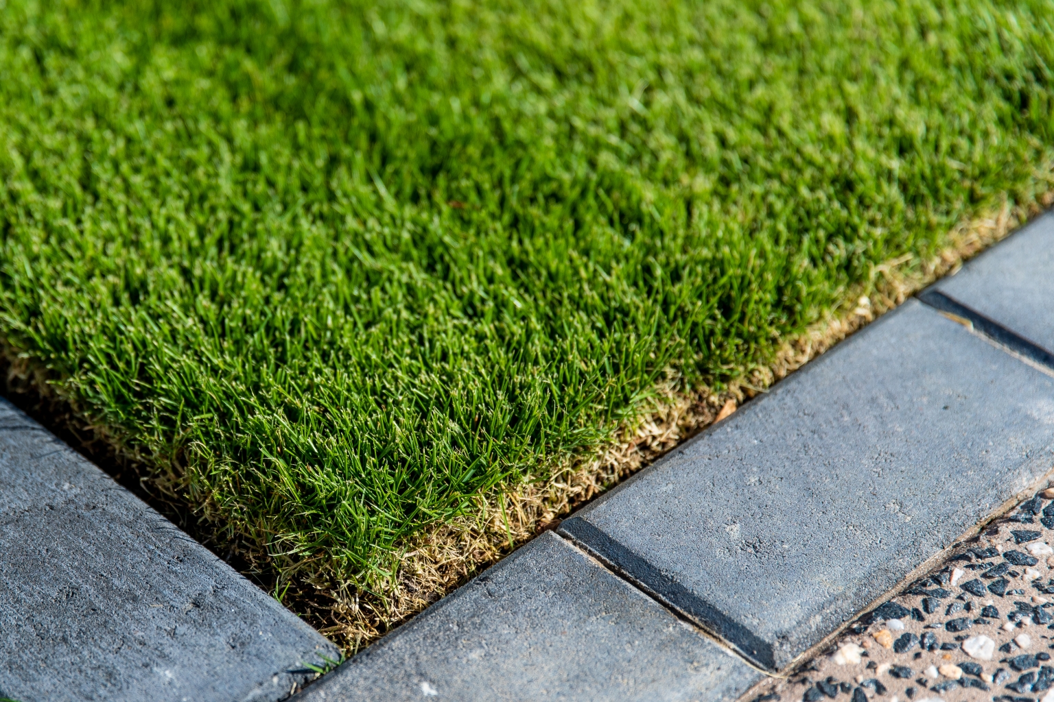 Instant Turf | Make The Right Choice For Your Lawn - StrathAyr