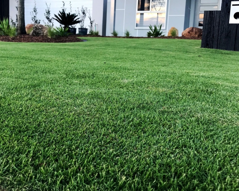 Instant Turf | Make The Right Choice For Your Lawn - StrathAyr