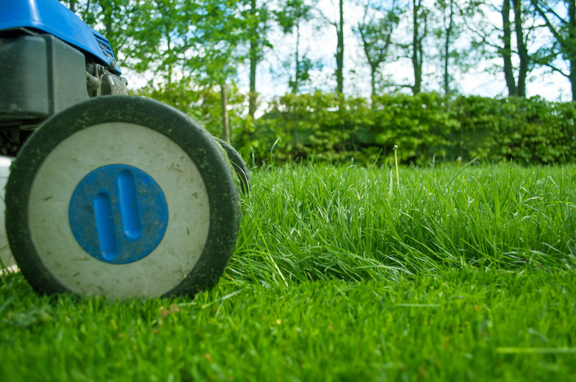 Turf Maintenance | Care - StrathAyr