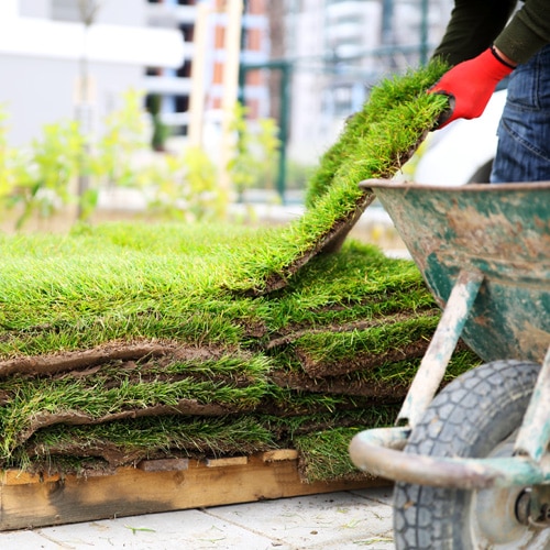 Premium Instant Turf - Perfected for Play | Home - StrathAyr