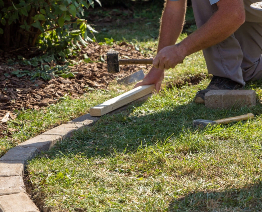 Instant Grass | Read Up On Inspiring Stories - StrathAyr