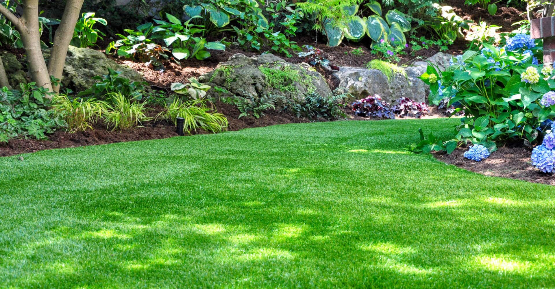 Which is the Best Lawn for High Foot Traffic in Australia?