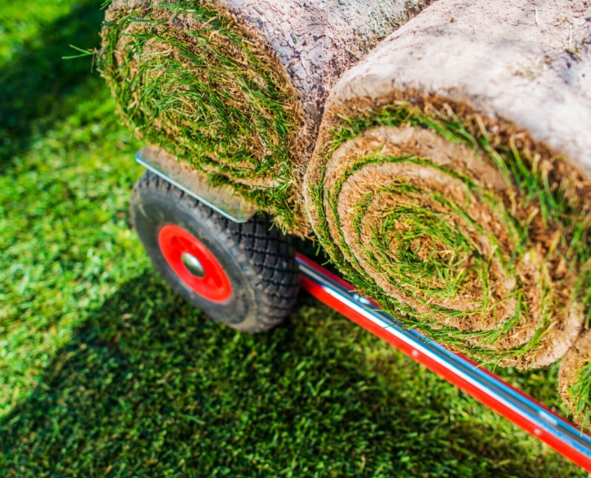 Instant Grass | Read Up On Inspiring Stories - StrathAyr