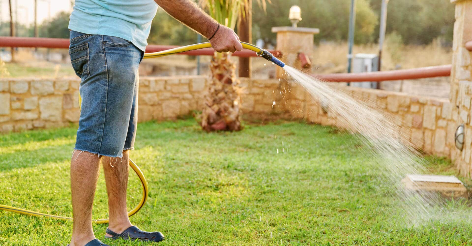 Does Time of Day Matter When Watering Australian Lawn?