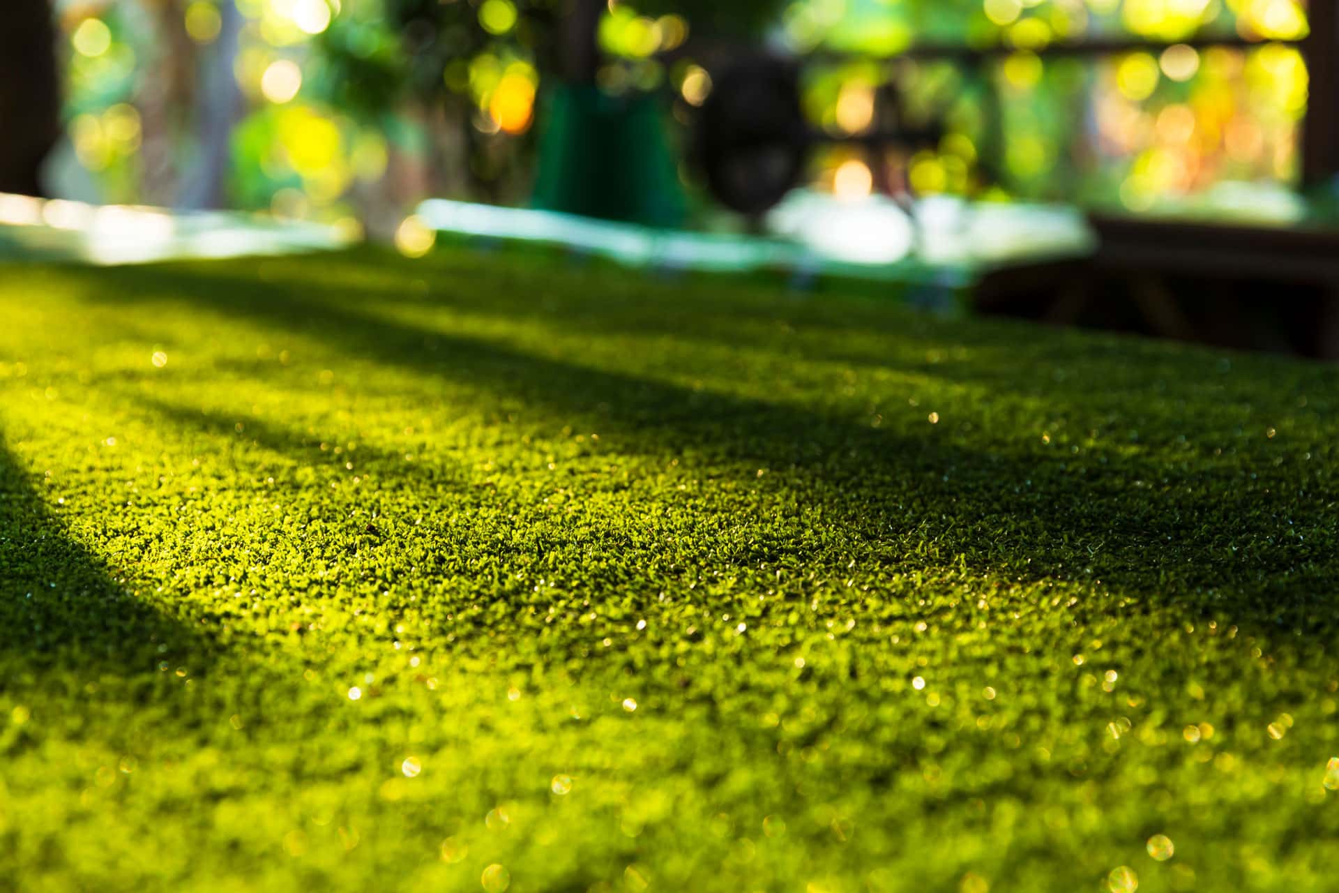 How to Choose the Right Turf for Your Space in VIC