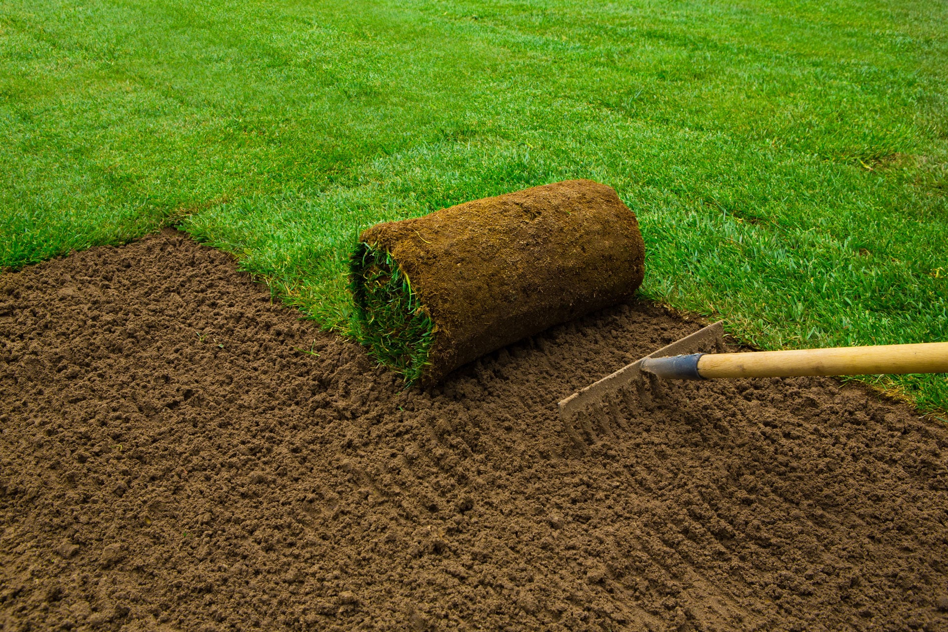 Best Time to Lay a New Lawn in Victoria and Tasmania