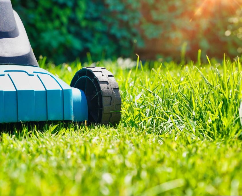 Instant Grass | Read Up On Inspiring Stories - StrathAyr