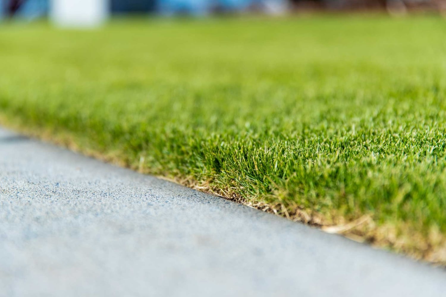 Premium Instant Turf - Perfected for Play | Home - StrathAyr